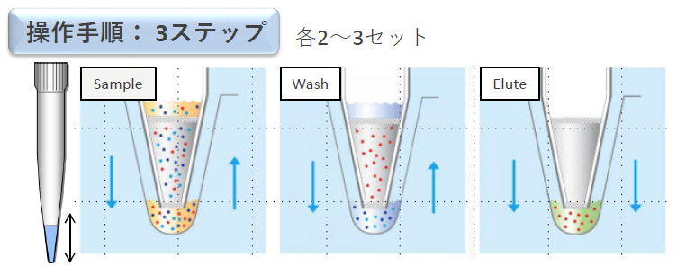 PhyTip Column - バイオタージ・ジャパン株式会社
