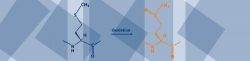 【vol.32】マイクロウェーブ加熱によるアリルエステルやAlloc基の脱保護の促進 – バイオタージ・ジャパン株式会社