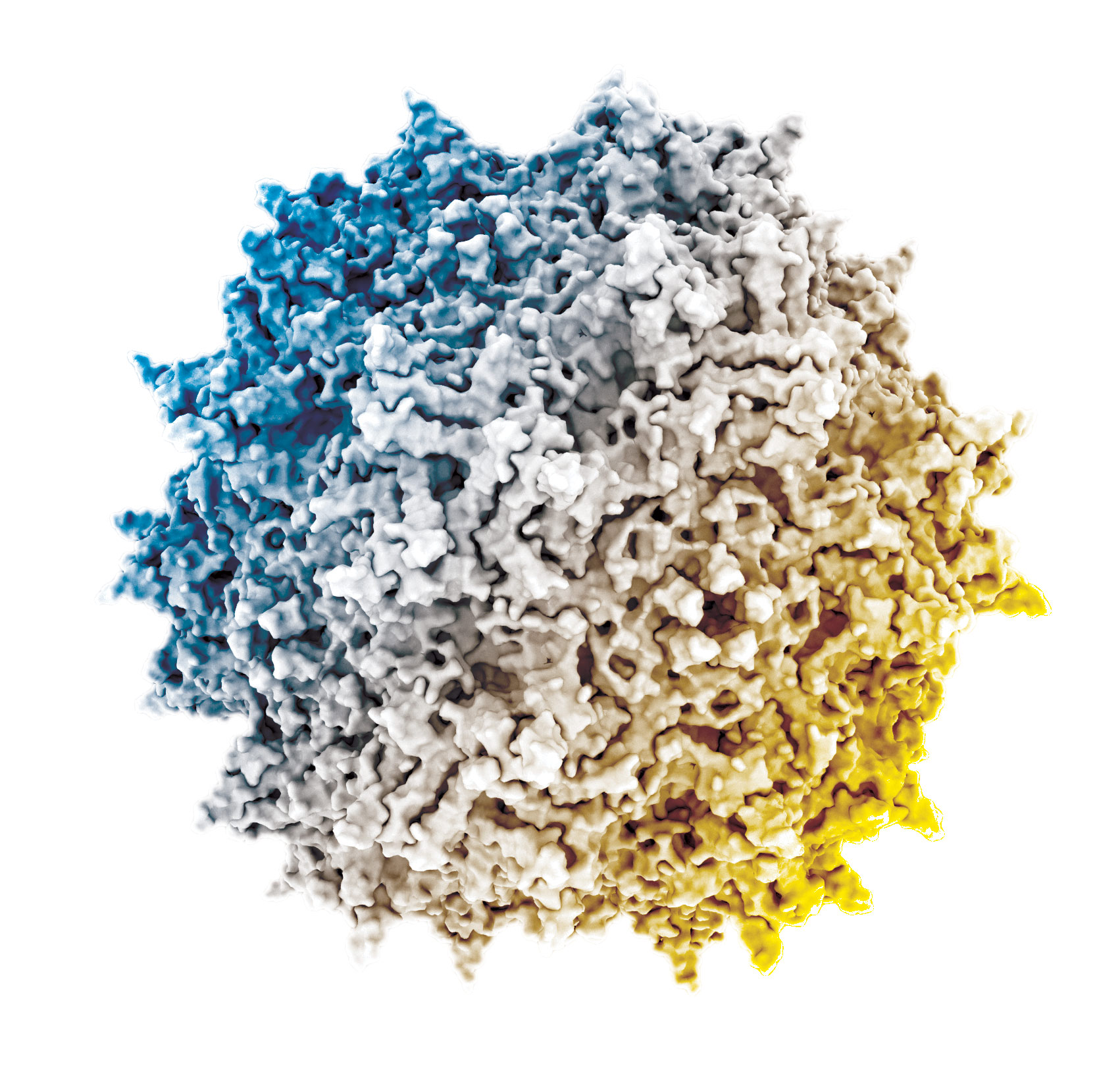 AAVX – バイオタージ・ジャパン株式会社